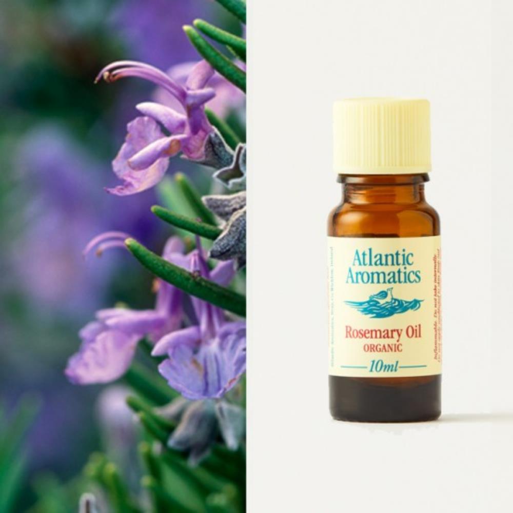 Atlantic Aromatics Organic Rosemary Oil 10ml | Nourish.ie | Nourish ...