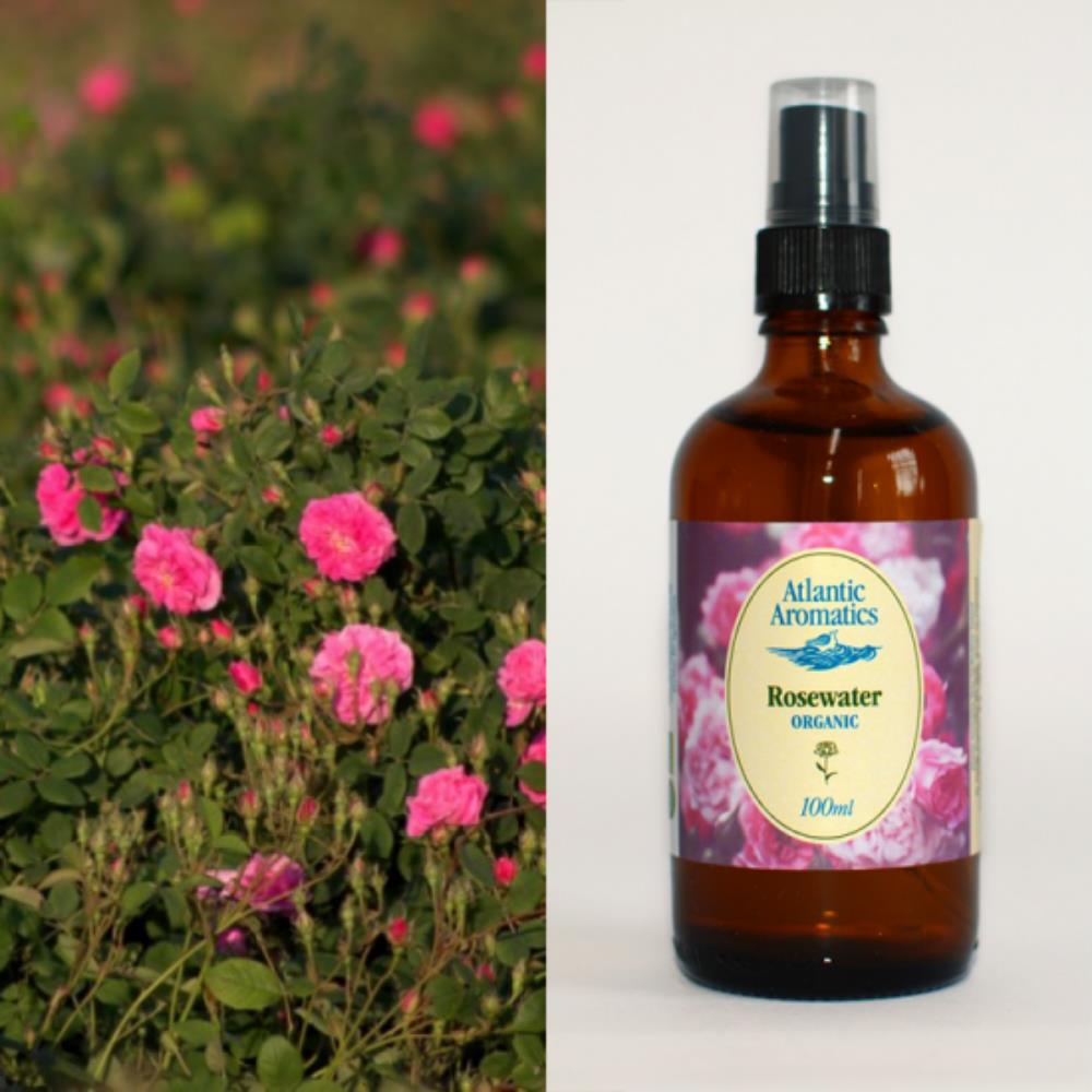 Atlantic Aromatics Organic Rosewater Atomiser 100ml | Nourish.ie ...