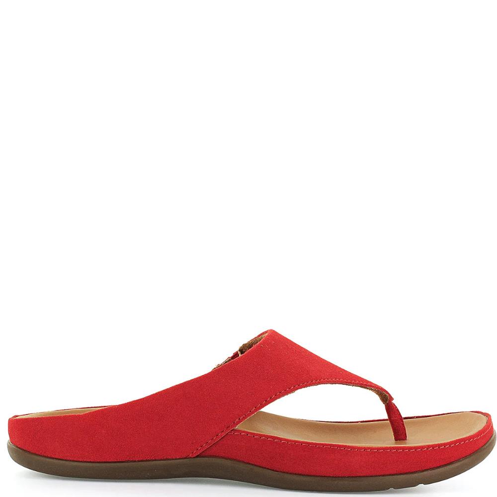 STRIVE WOMENS TOE POST MULE SANDAL - SCARLET | Paul Byron Shoes | Ireland