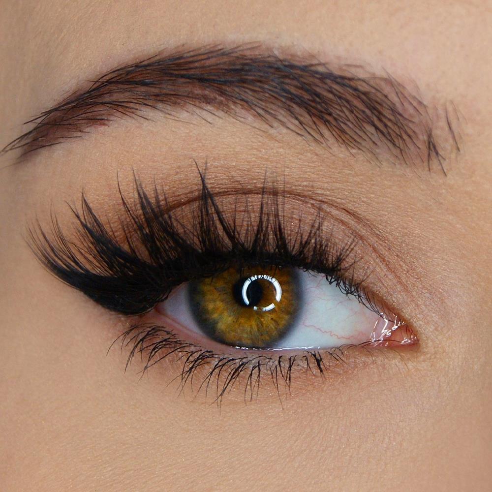 X BONNIE RYAN NIGHT LASH | CH Tralee | Ireland