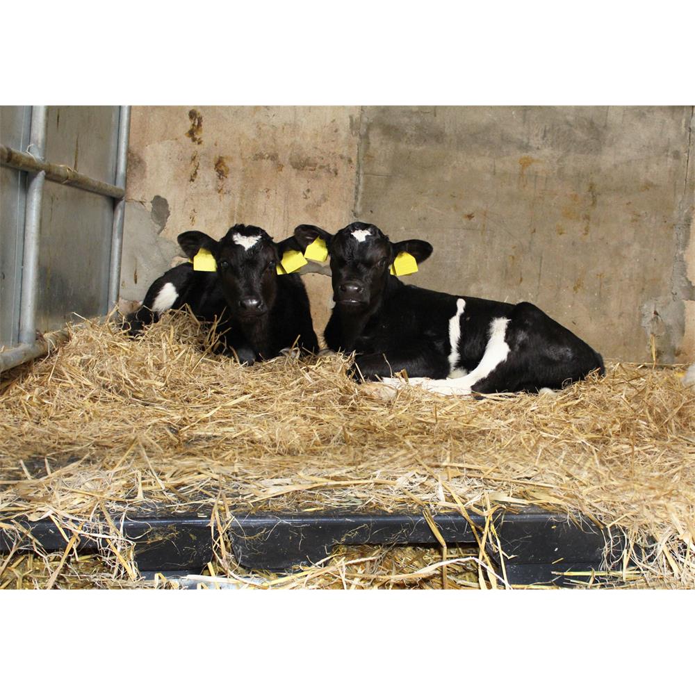 JFC PLASTIC CALF SLAT 900MM X 1200MM | Maddens of Lerhin | Galway