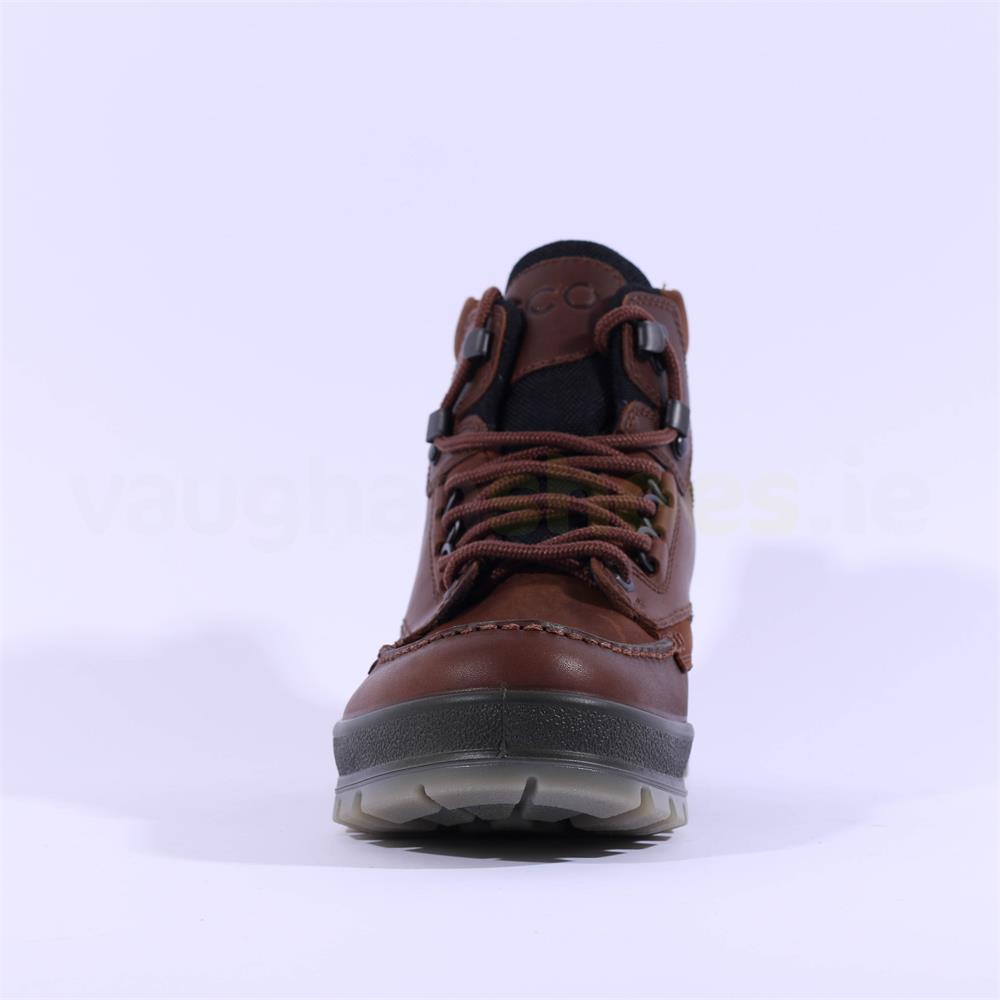 Ecco Men Track 25 GoreTex Boot - Bison Bison | Vaughan Shoes | Ireland