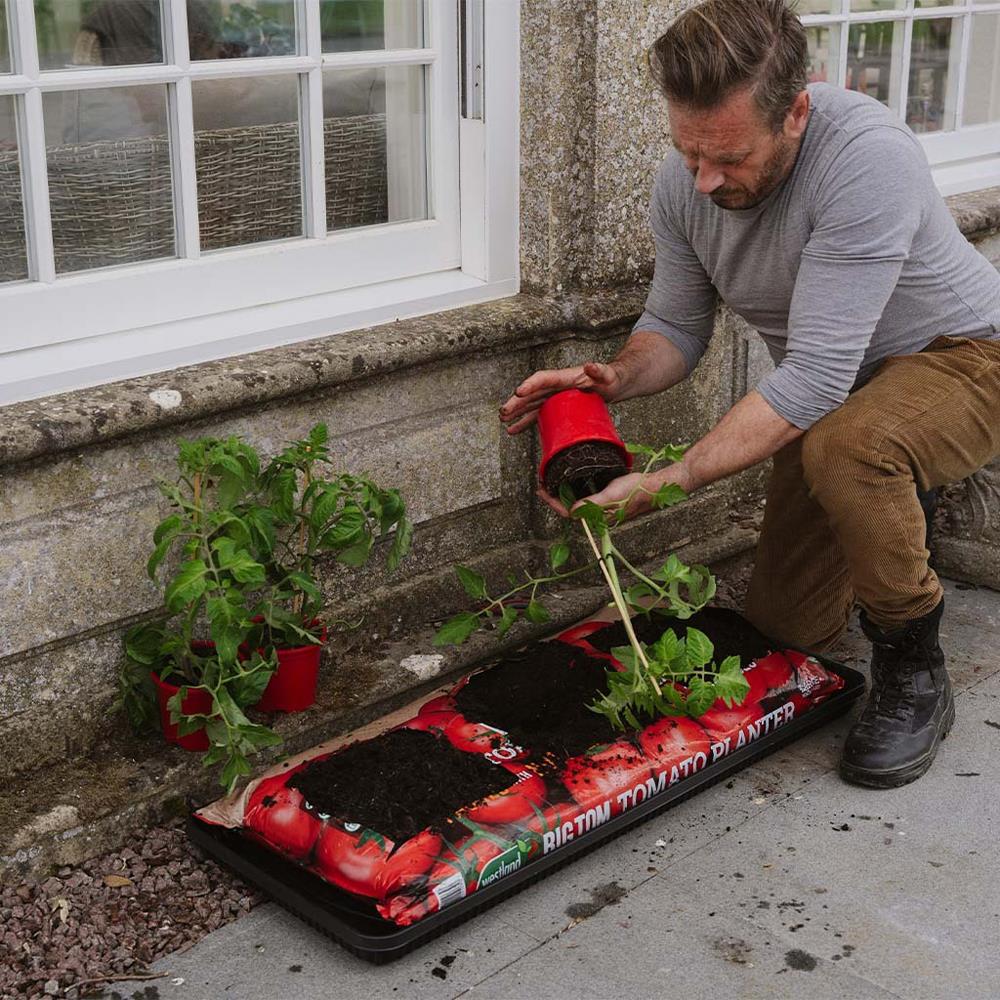 WESTLAND BIG TOM SUPER TOMATO PLANTER | Clonmel Garden Centre | Ireland
