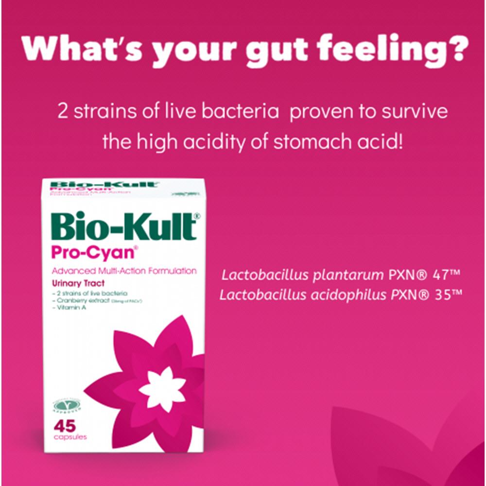 Bio-Kult Pro-Cyan Urinary Tract 45 capsules | Mellericks Pharmacy ...