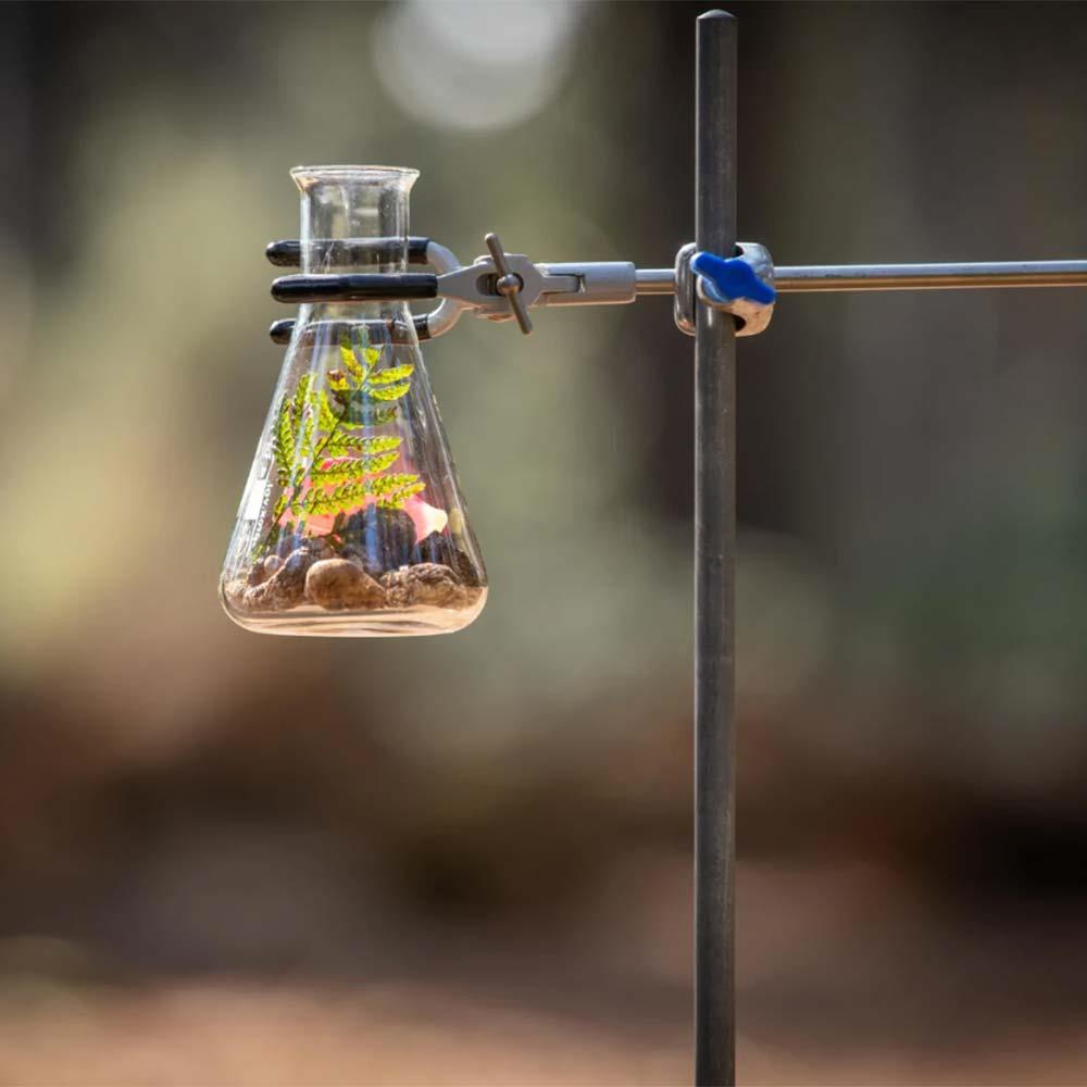 FabU Shrooms Meno & Peri 60 Capsules | Inish Pharmacy | Ireland