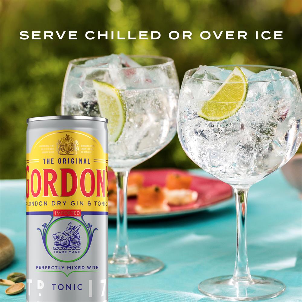 Gordon's Gin & Tonic 4-Pack (250ml, 6.4%) – Refreshing Ready-to-Drink ...