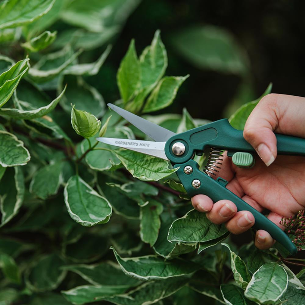 Gardman GMT Garden Snips | ecostore.ie Ireland