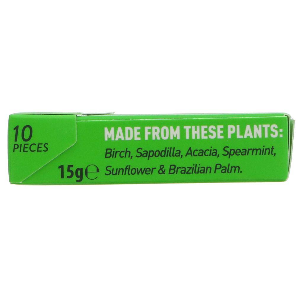 Chewsy Plastic Free Chewing Gum - Spearmint | ecostore.ie Ireland