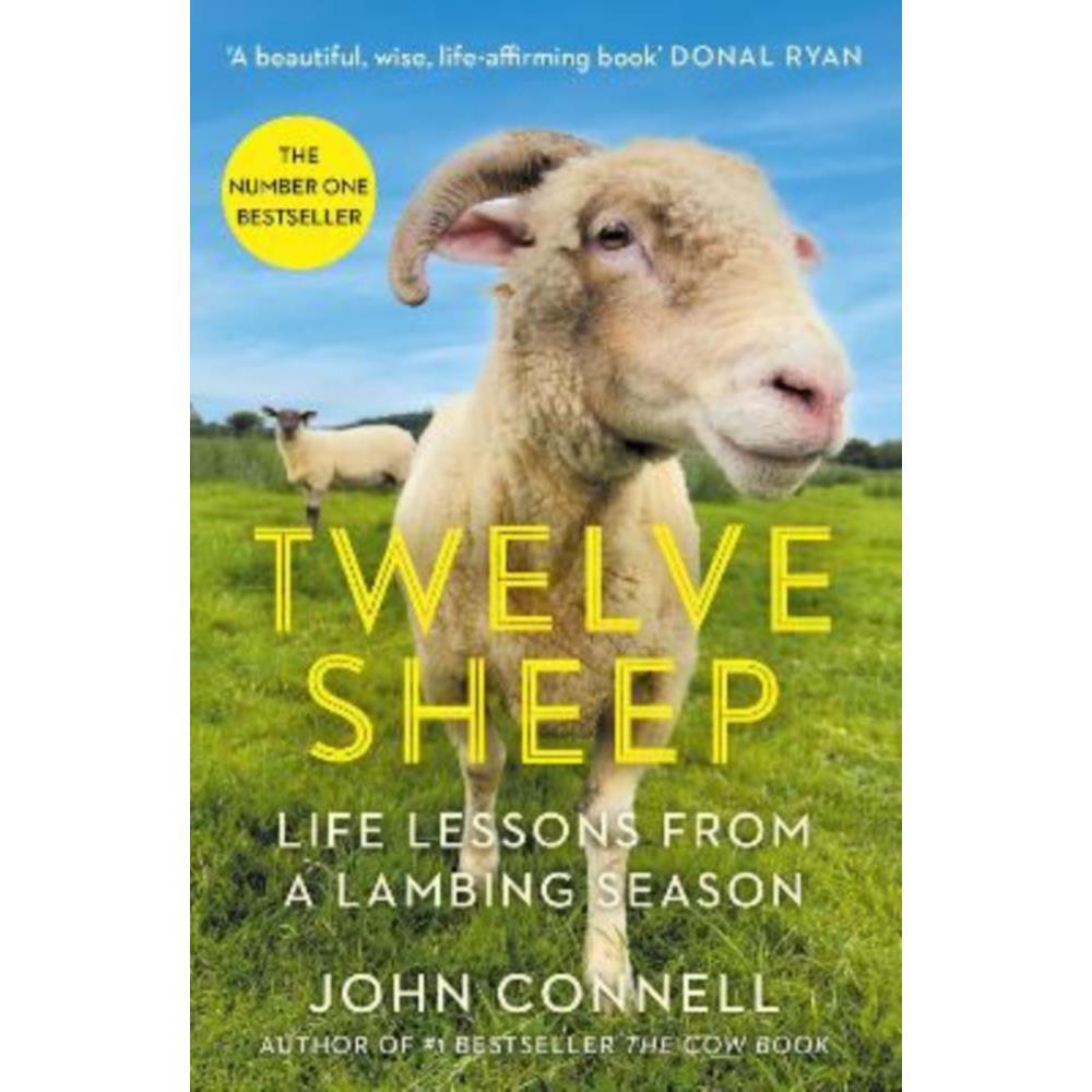 John Connell Twelve Sheep: Life Lessons From A Lambing Season | Ennis ...