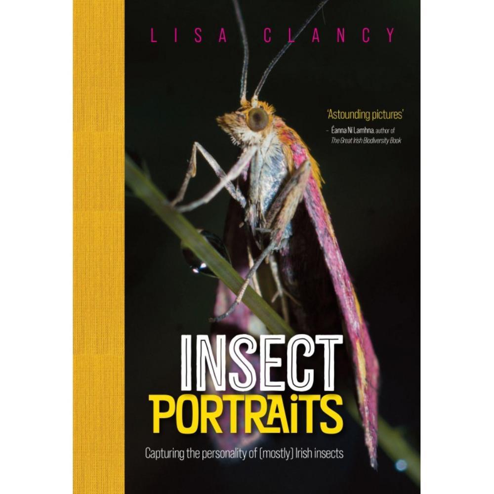 Insect Portraits | by Lisa Clancy