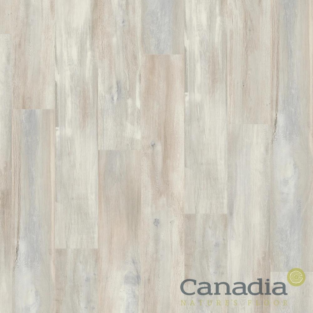 Canadia Flooring Natural Abergele Oak 8mm |EEC Homevalue | Balbrigggan ...