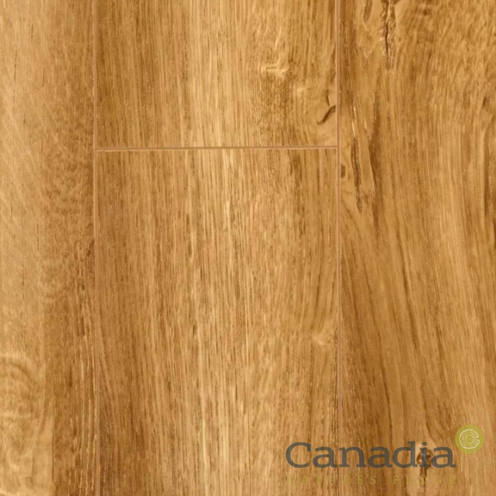 Canadia Flooring Rustic Oak Gloss 12mm |EEC Homevalue | Balbrigggan ...