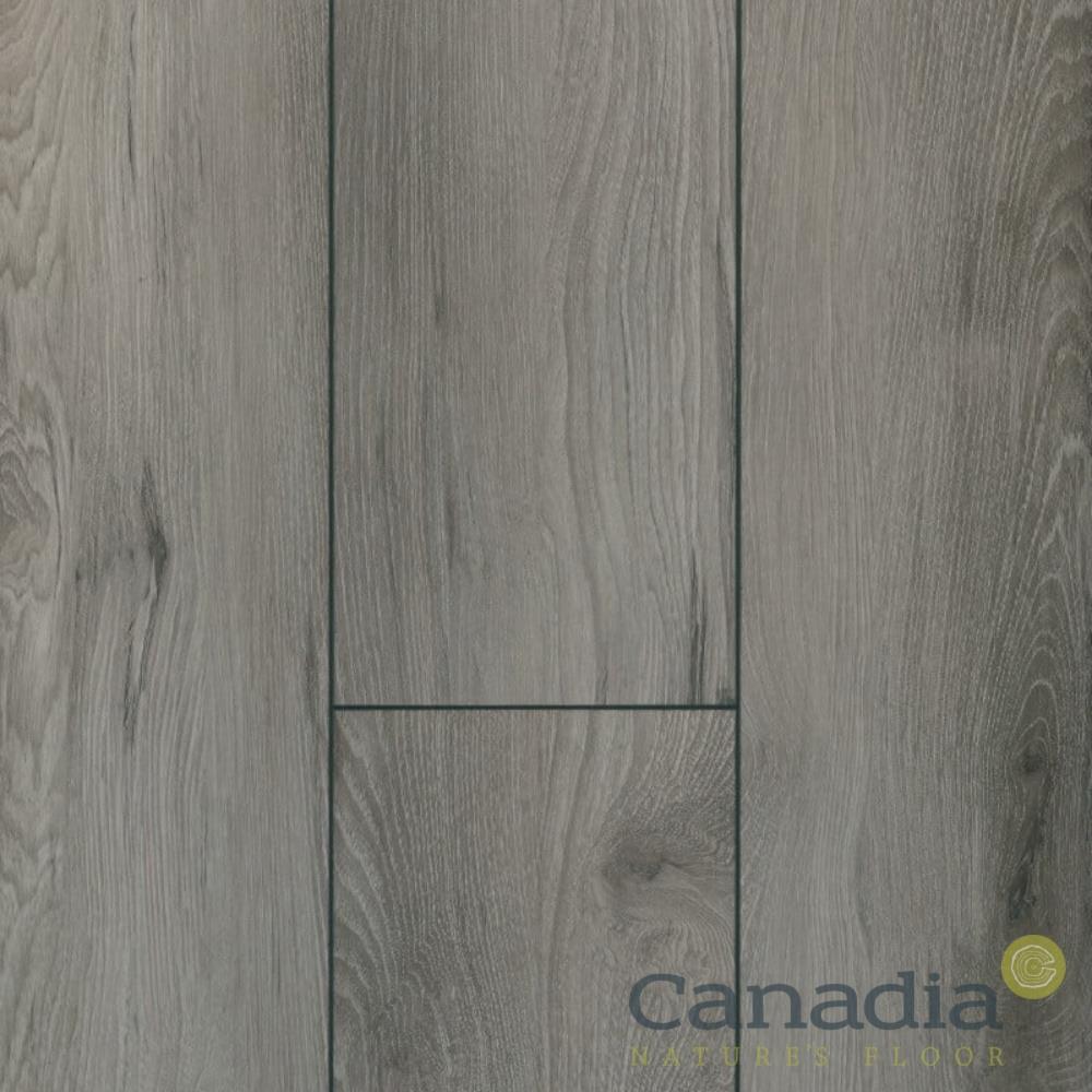 Canadia Flooring Palladium Grey Oak 12mm |EEC Homevalue | Balbrigggan ...
