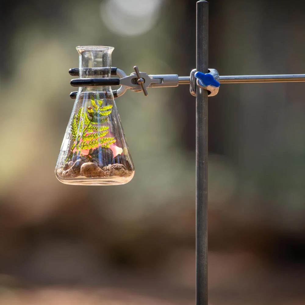 fabÜ SHROOMS MENO & PERI: Menopause Support Supplement