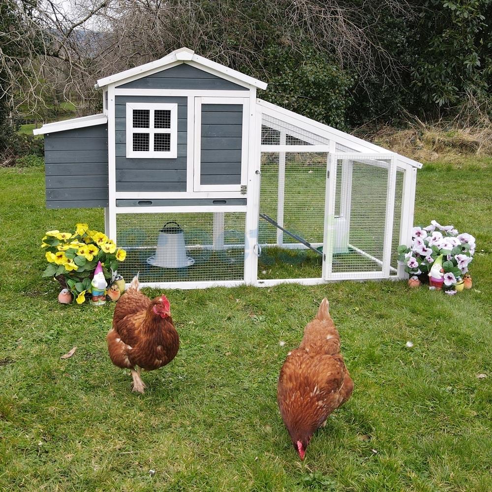 The Amy Chicken Coop With Run - 6 Chickens | Pets.ie | Ireland