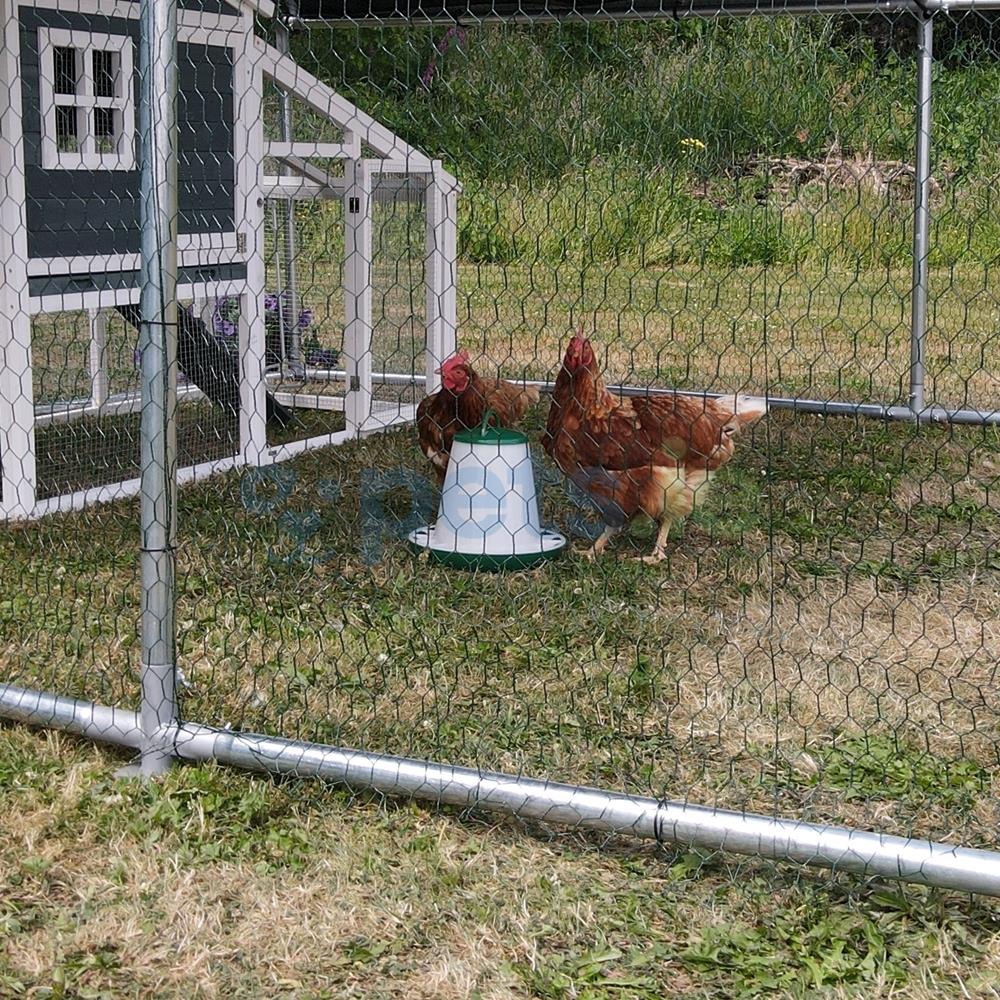 Chicken Pen - 6m x 3m | Pets.ie | Ireland