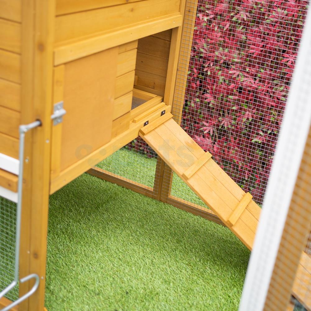 The Sally Chicken Coop With Run - 6 Chickens | Pets.ie | Ireland