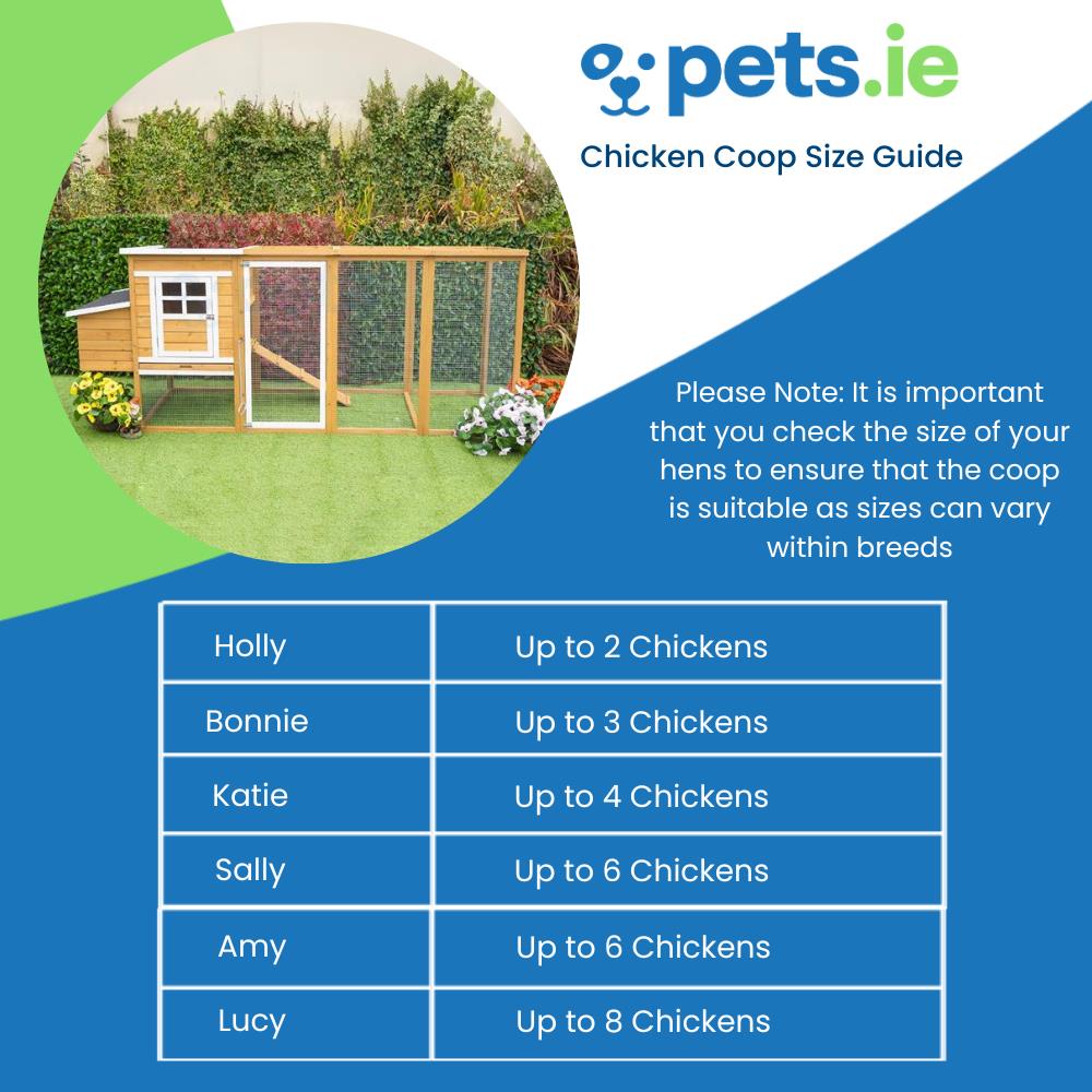 The Sally Chicken Coop With Run - 6 Chickens | Pets.ie | Ireland