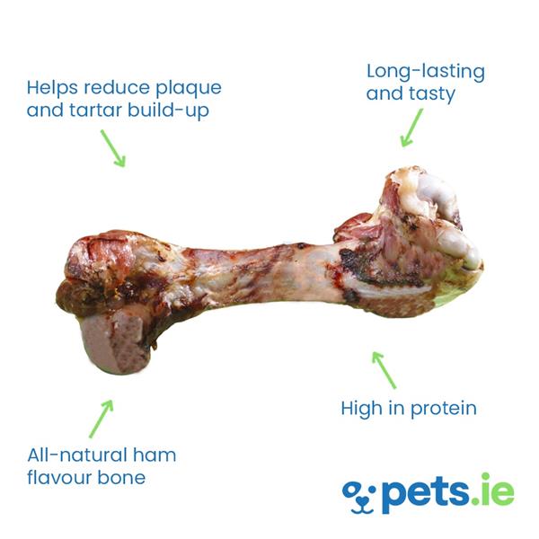 Are Tartar Busters Good For Dogs