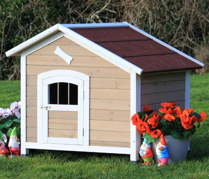 The Different Types and Considerations Pets.ie | Ireland